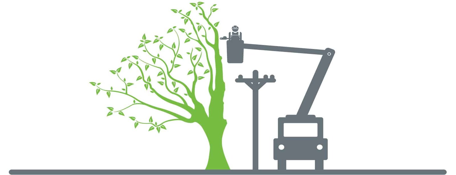 Tree Utility Conflict - Avoid it For Better Tree Planting